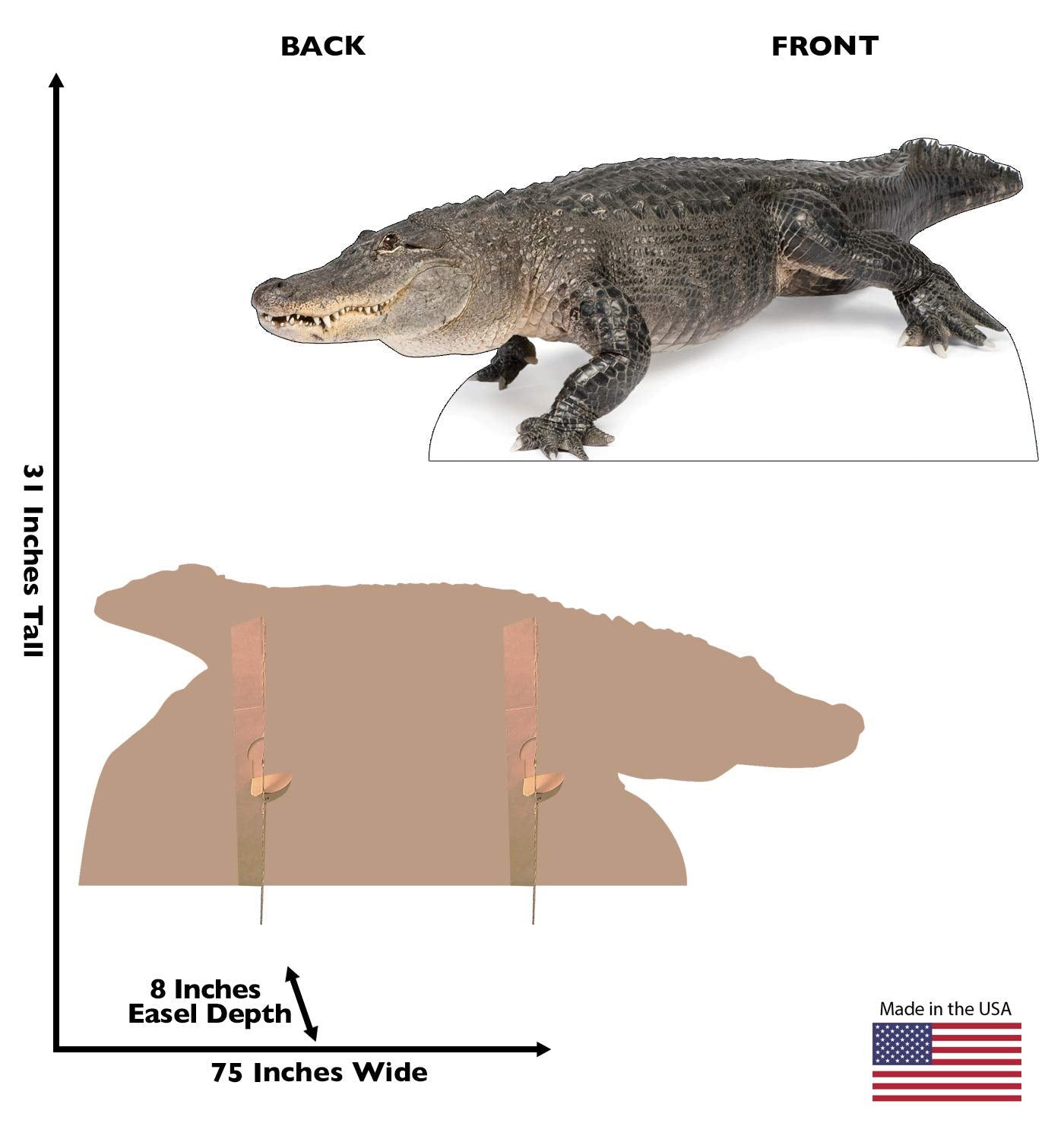 Advanced Graphics American Alligator Life Size Cardboard Cutout Standu ...